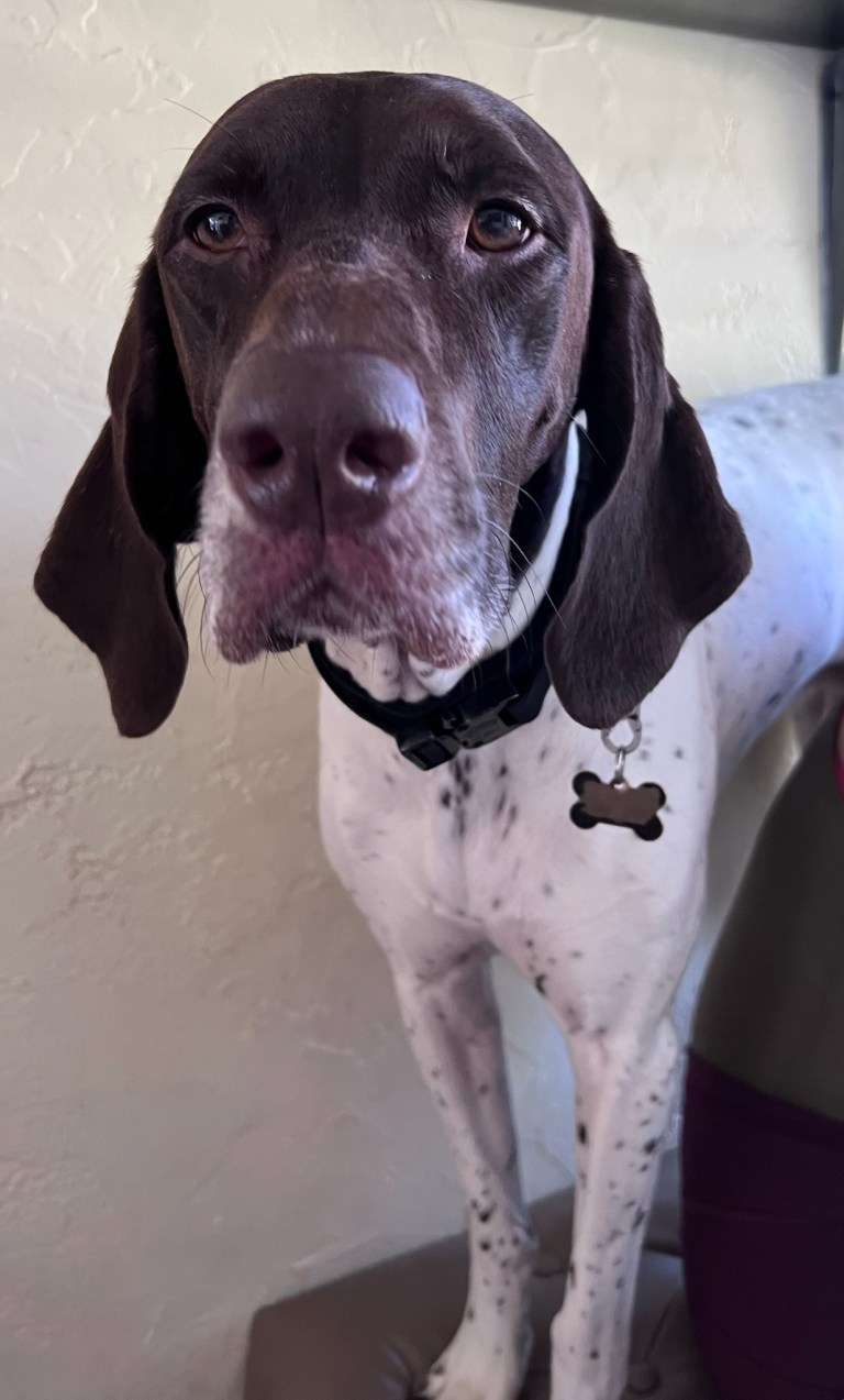 Tempered Expectations – eli westfall, therapist